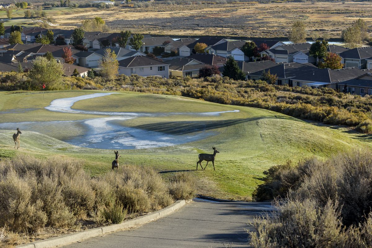 Gallery - Sunridge Golf and Recreations